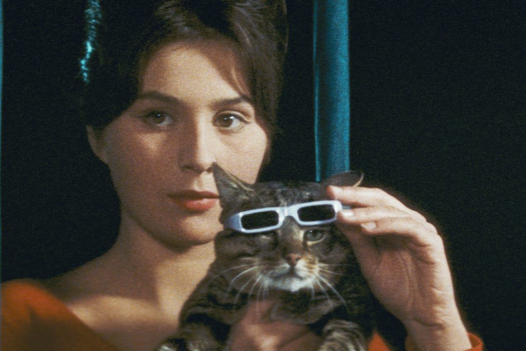 Film review: ‘The Cassandra Cat’ | Communist Revolution