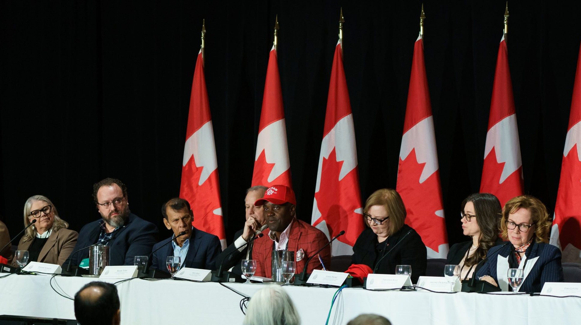 Canadian Peoples Union